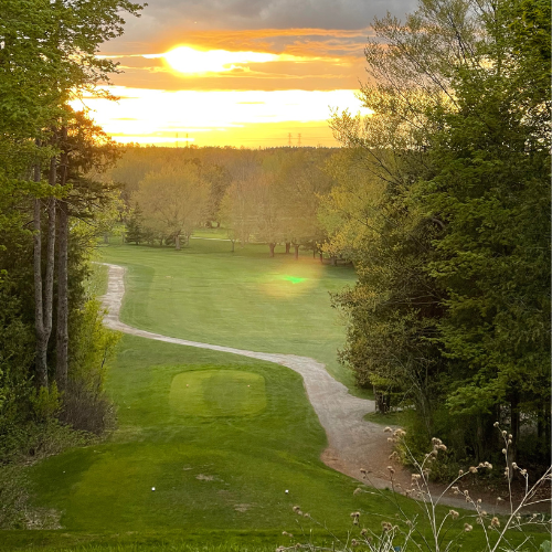 Home - Cedarhill Golf & Country Club